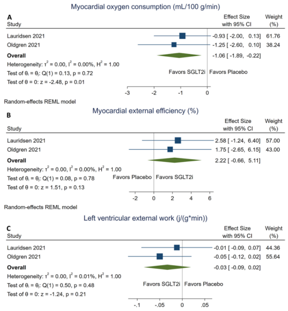 【研究速递】Metabol Open：SGLT2抑制降低心肌耗氧量 - 知乎