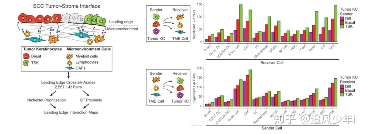 单细胞个性化分析之多样本细胞通讯比较篇 - 知乎