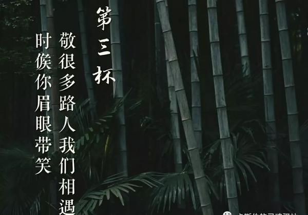 我敬往事七杯酒!从前不回头,往后不将就! 知乎