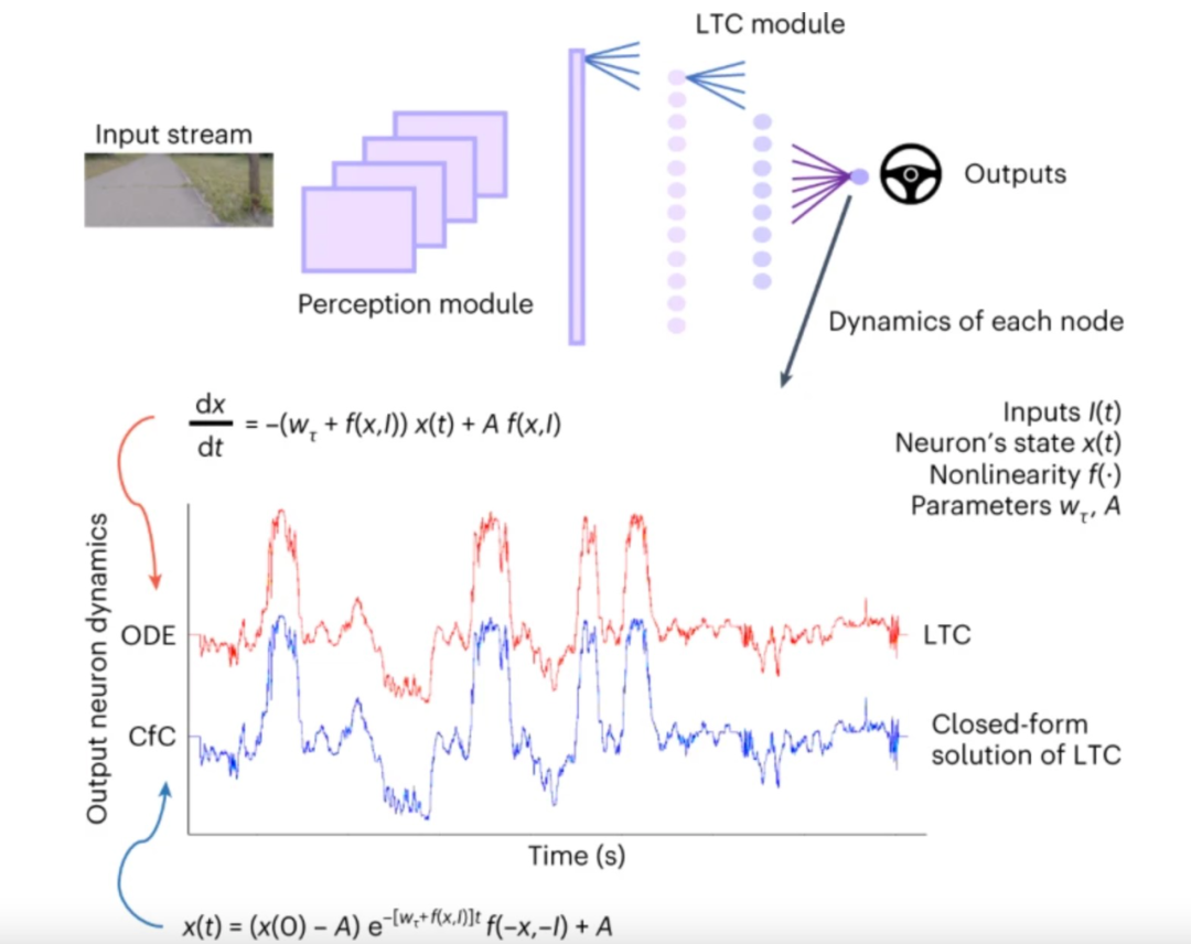 解决神经网络的百年难题，MIT新模型Liquid CfC让模拟大脑动力学成为可能 - 知乎