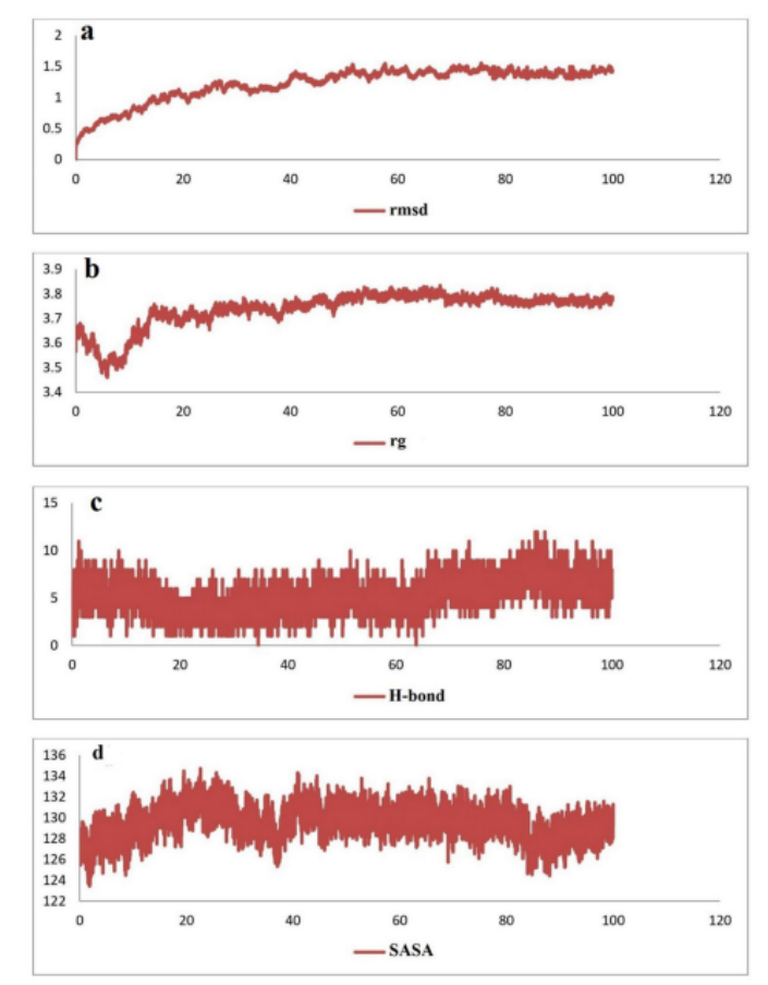案例分享丨基于HER2特异性scFv和DFF40毒素设计抗乳腺癌人源化免疫毒素的计算机研究 - 知乎