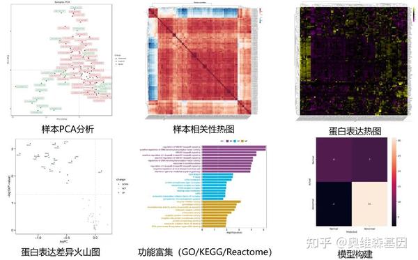 奥维森基因：Olink精准靶向蛋白质组学，助您科研无忧 - 知乎