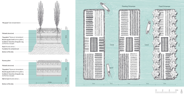 阿兹特克农业:Chinampa - 知乎
