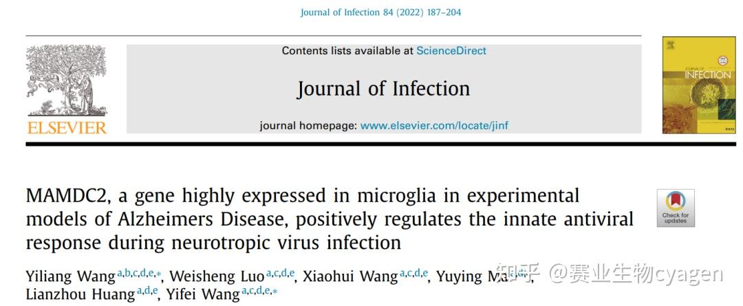 IF:38.63，MAMDC2介导的小胶质细胞先天性抗病毒免疫与阿尔茨海默症相关——暨南大学王一飞教授团队新发现 - 知乎