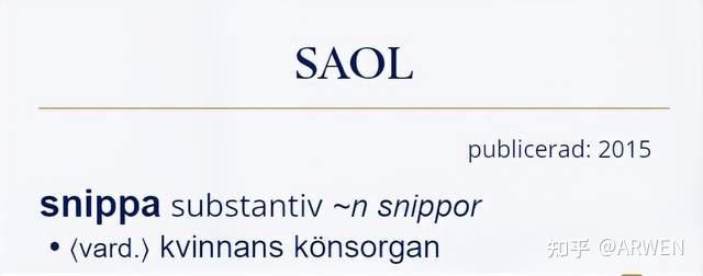 今日瑞典语单词：Snippa - 知乎