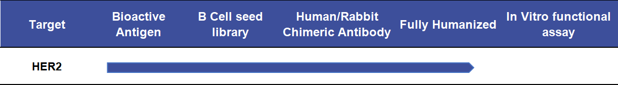 HER2 | 实体瘤治疗的重要靶点 - 知乎