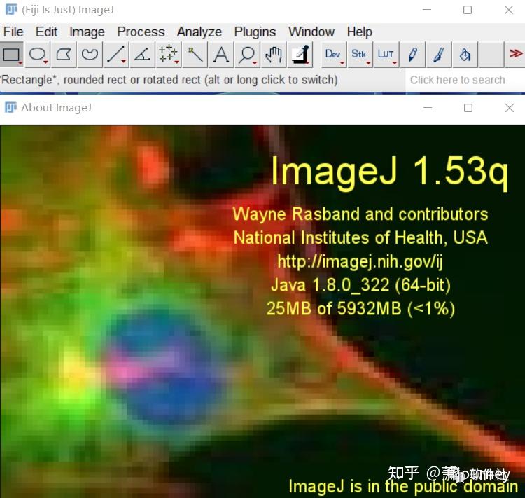 科研图像处理工具——Image J/FIJI安装教程！ - 知乎