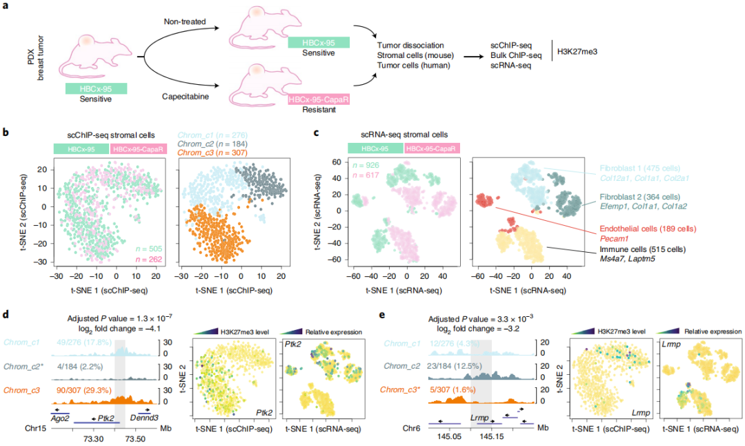 单细胞ChIP-seq，引领单细胞测序新方向 - 知乎
