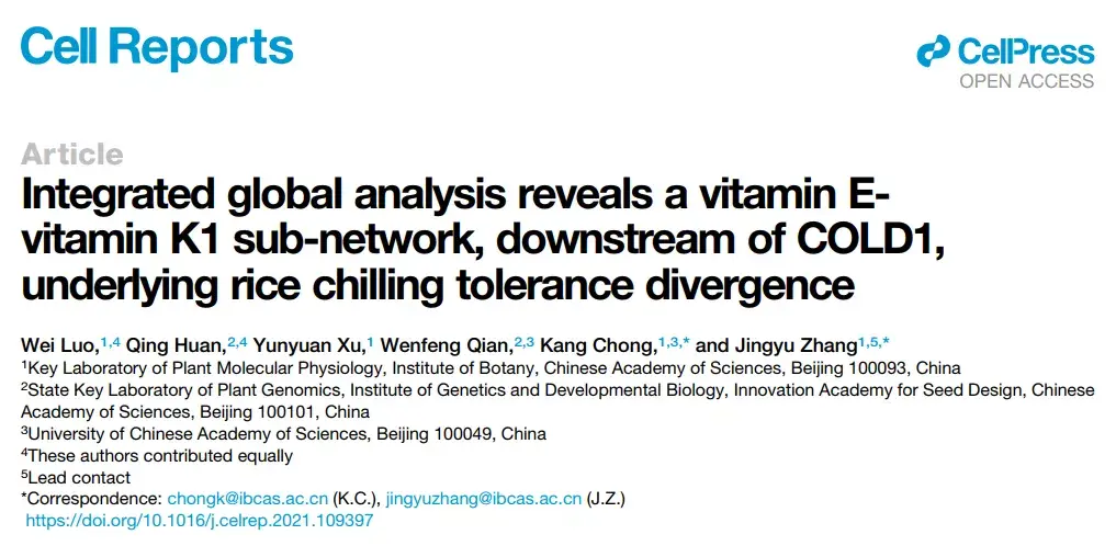 Cell Reports | 种康院士团队发现低温感受器COLD1的下游新组分，揭示水稻耐寒性调控新机制 - 知乎