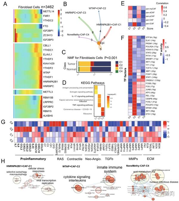 8+！单细胞+m6A相关分析~ - 知乎