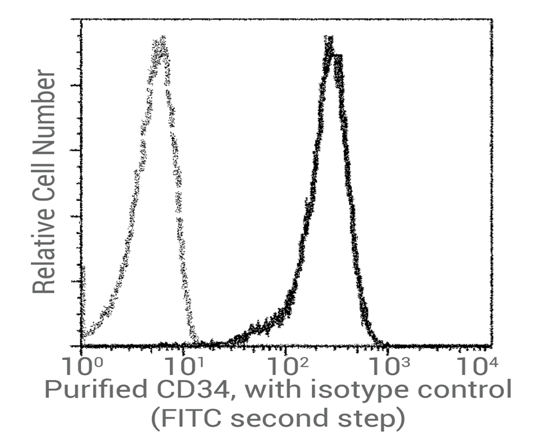 CD34：揭开祖细胞的身份之谜 - 知乎