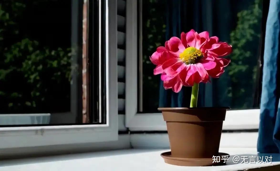 NVComposer - 一张或多张图片生成可控的多方位角度视频 本地一键整合包下载 - 知乎