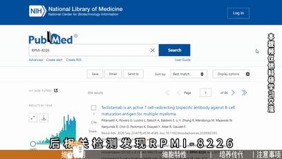 RPMI-8226细胞培养，人多发性骨髓瘤细胞培养攻略 - 丰晖生物 - 知乎