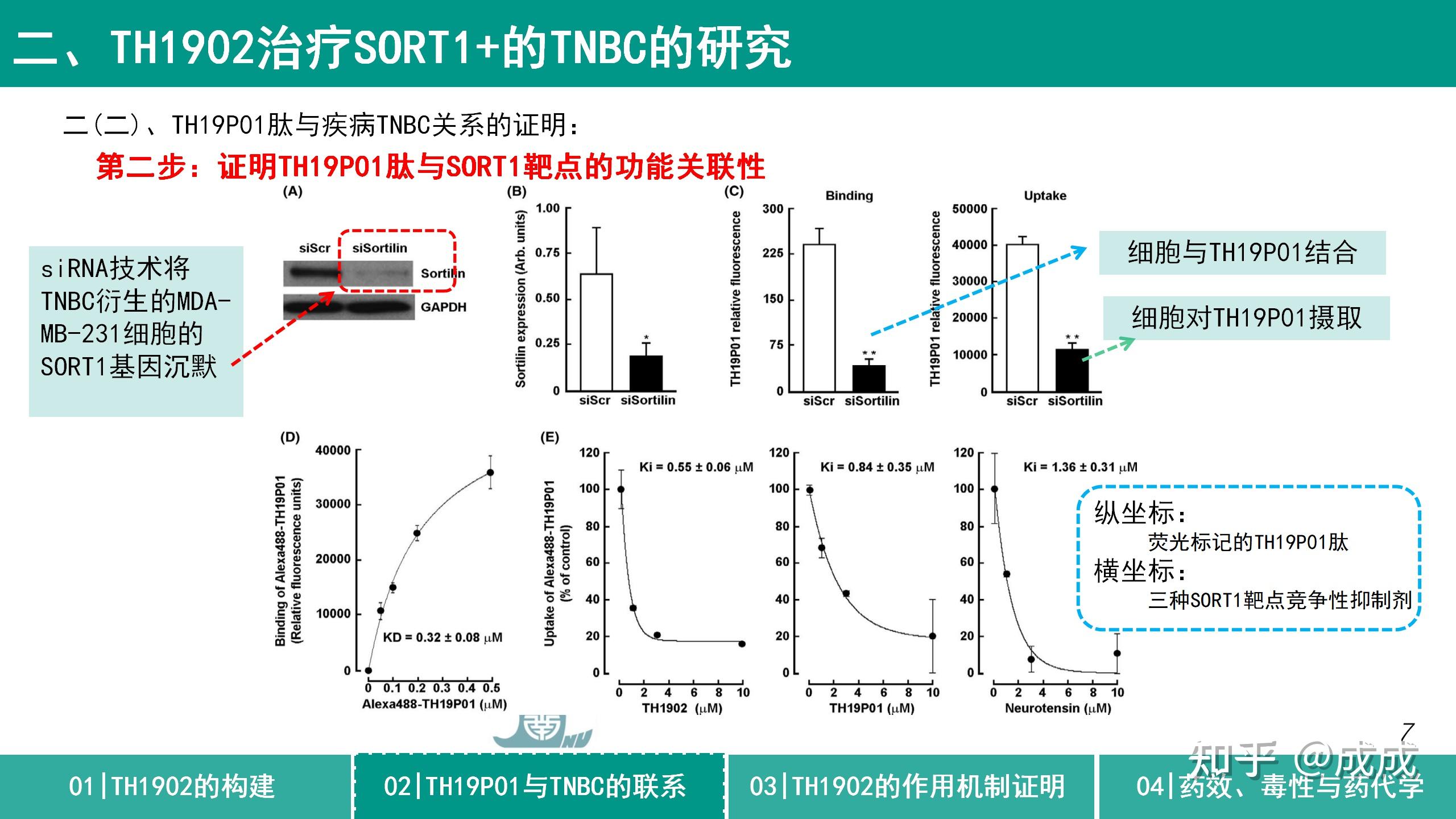 文献解读| TH1902，一种新的多西他赛肽偶联物，用于治疗sortilin阳性的三阴性乳腺癌 - 知乎