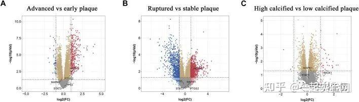 6+ hub基因加ceRNA网络 - 知乎