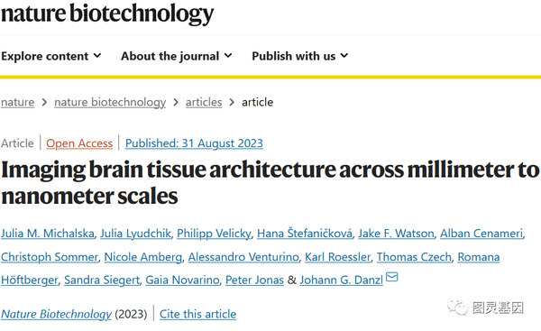 Nat Biotech | 脑组织纳米级别成像揭示胞体、树突和突触的分布规律 - 知乎
