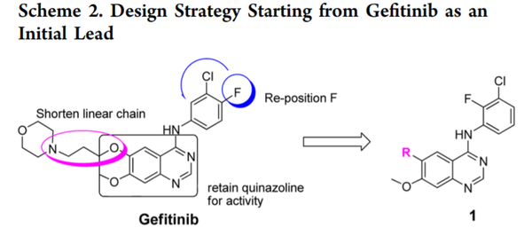 脑穿透EGFRi, 两个case study - 知乎