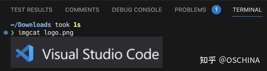 Visual Studio Code 1.80 发布，支持终端图片功能 - 知乎