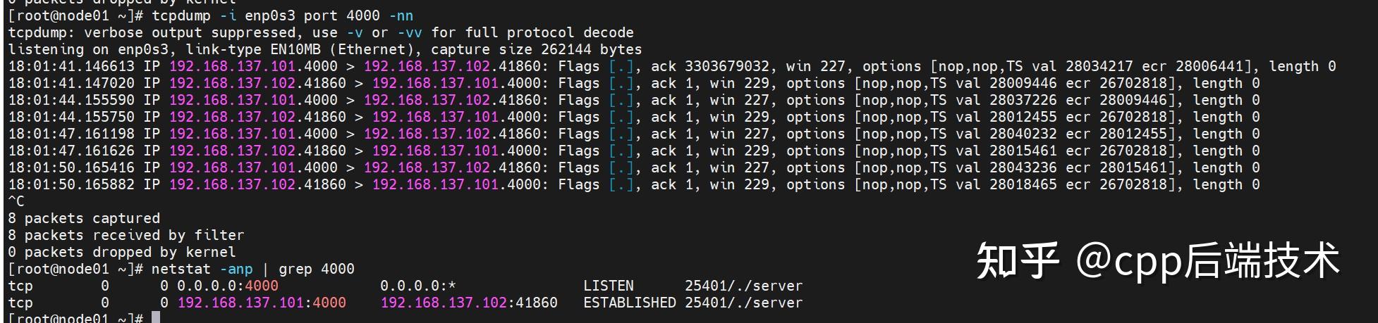TCP保活机制详解（KeepAlive） - 知乎