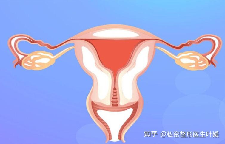 女性 第一次”一定会流血吗?医生是这么说的,不要再被骗了 知乎