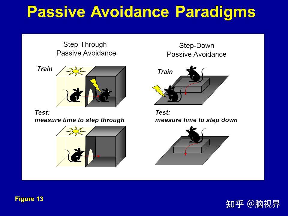 动物行为实验专题：大小鼠跳台实验方法(step-down test) - 知乎