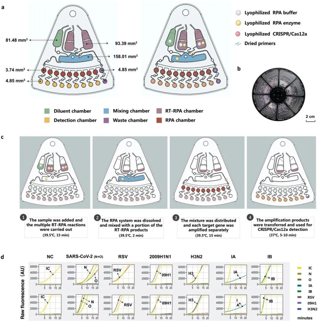 【文献】一种RPA+CRISPR/Cas12a离心微流控核酸检测系统 - 知乎
