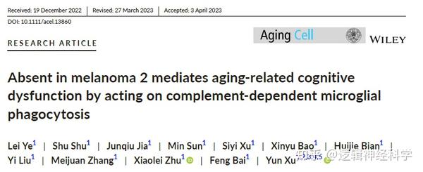 Aging Cell︱南京大学徐运团队揭示AIM2通过补体依赖的小胶质细胞突触吞噬介导衰老相关认知功能障碍 - 知乎