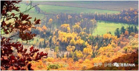 这大概秋季全球最美线路吧-加拿大枫叶大道 - 知乎