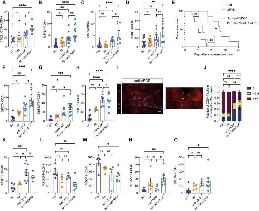 Cancer Cell | 癌细胞自噬、巨噬细胞重编程和血管重构引发的肿瘤免疫 - 知乎