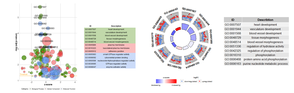 这个R包不太冷系列——GOplot（功能富集绘图） - 知乎