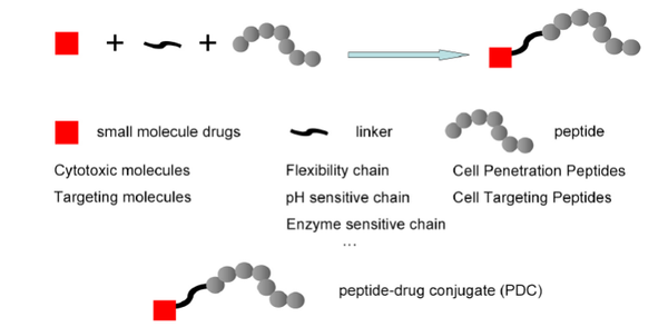 快讯 | PeptiDream宣布将与Lilly共同开发新型多肽偶联药物 - 知乎