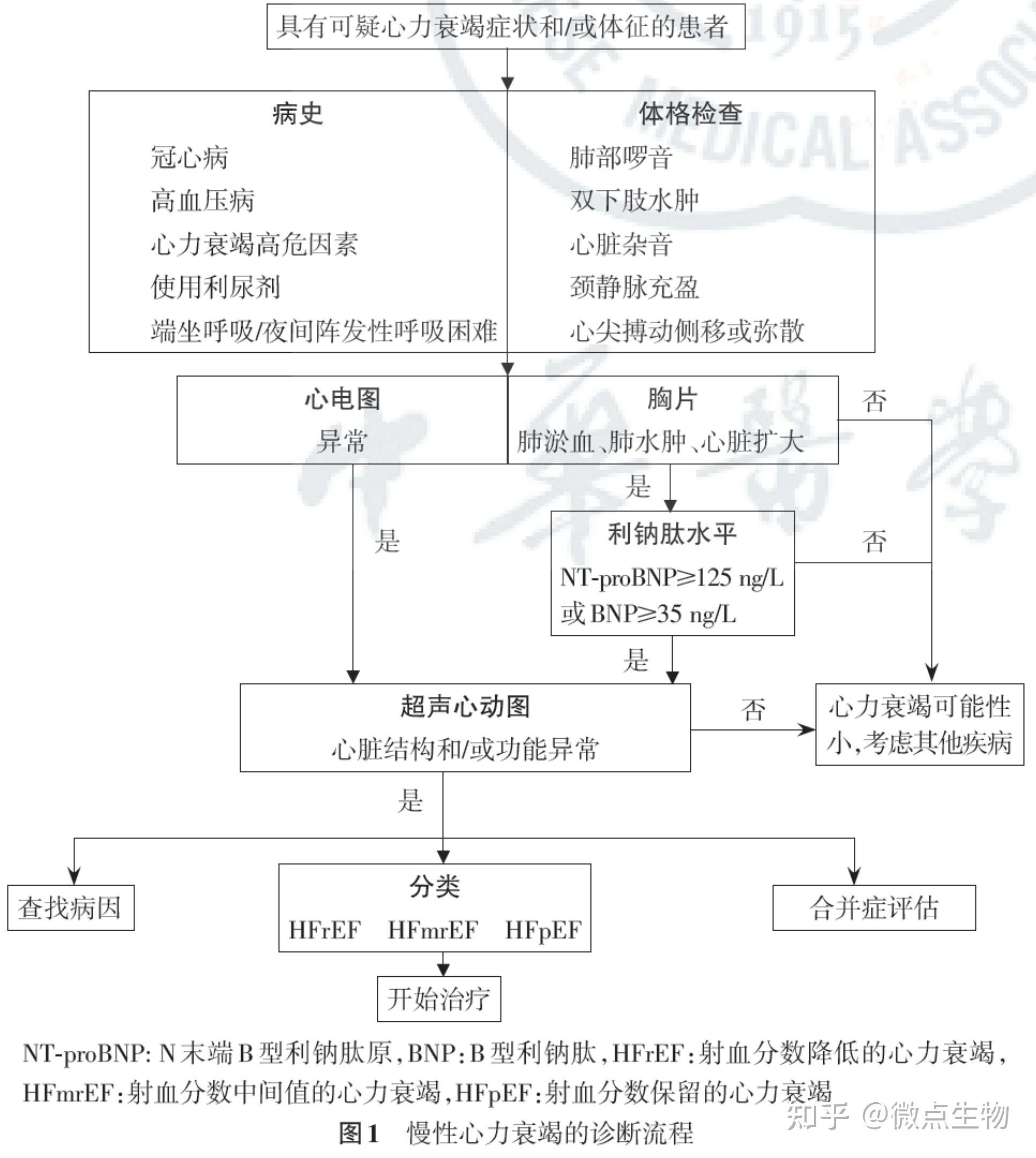 利钠肽用于心衰筛查的临床共识分析 - 知乎