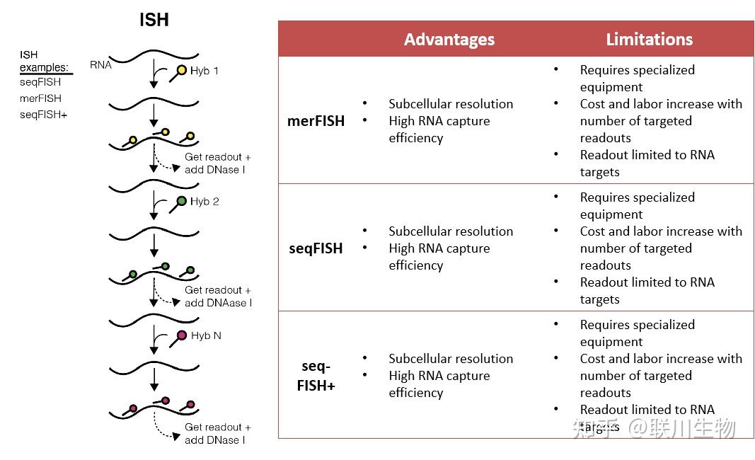 空间转录组——简单的研究方法带来不简单的研究成果 - 知乎