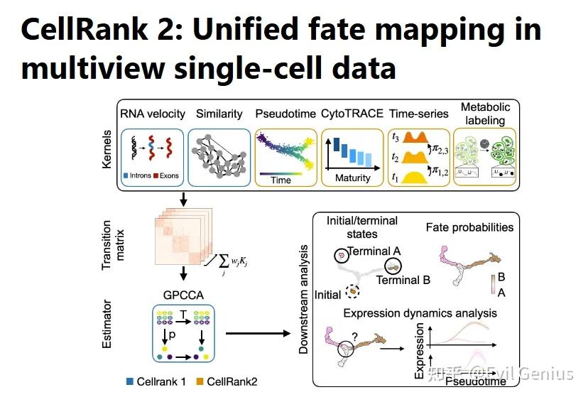 课前准备-单细胞新版velocity（cellrank 2） - 知乎