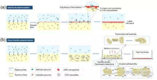 天津大学姜忠义课题组Angew：致密COFs膜实现高效阴离子传导 - 知乎