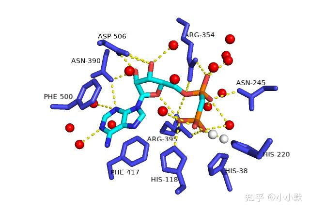 Pymol绘图教程（自用） - 知乎