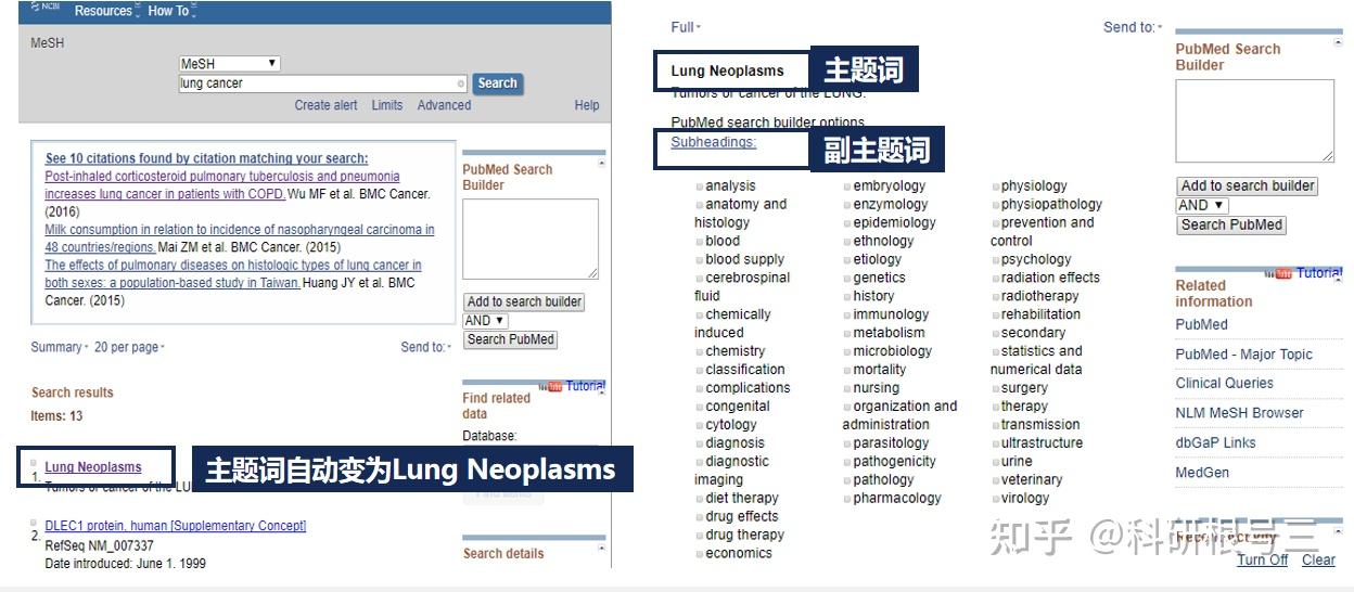 科研小白如何通过pubmed快速、精准查找医学文献，以及最大限度的缩小文献范围呢？ - 知乎