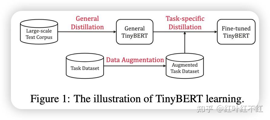 TinyBERT: Distilling BERT for Natural Language Understanding - 知乎
