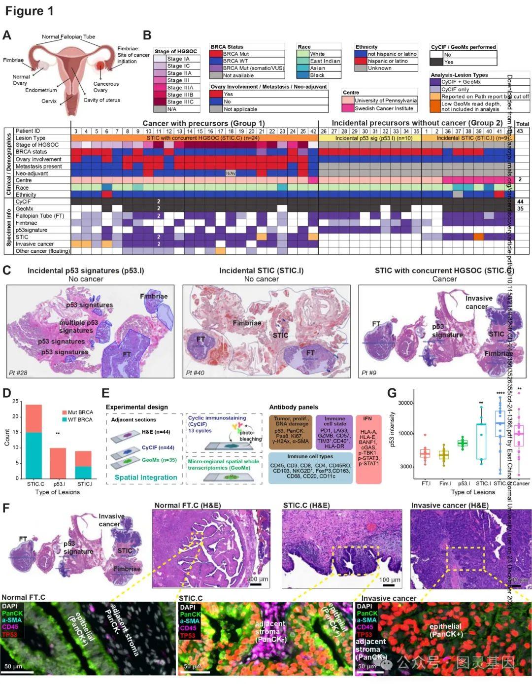 Cancer Discov ｜ 多模态空间组学分析揭示高级别浆液性卵巢癌的微环境重塑 - 知乎
