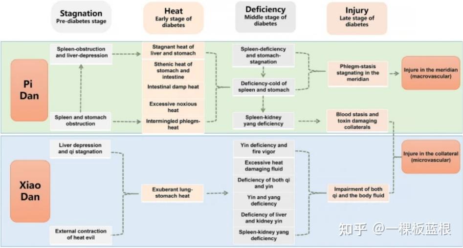 Phenomics | Phenomics期刊2024年第三期文章合集 - 知乎