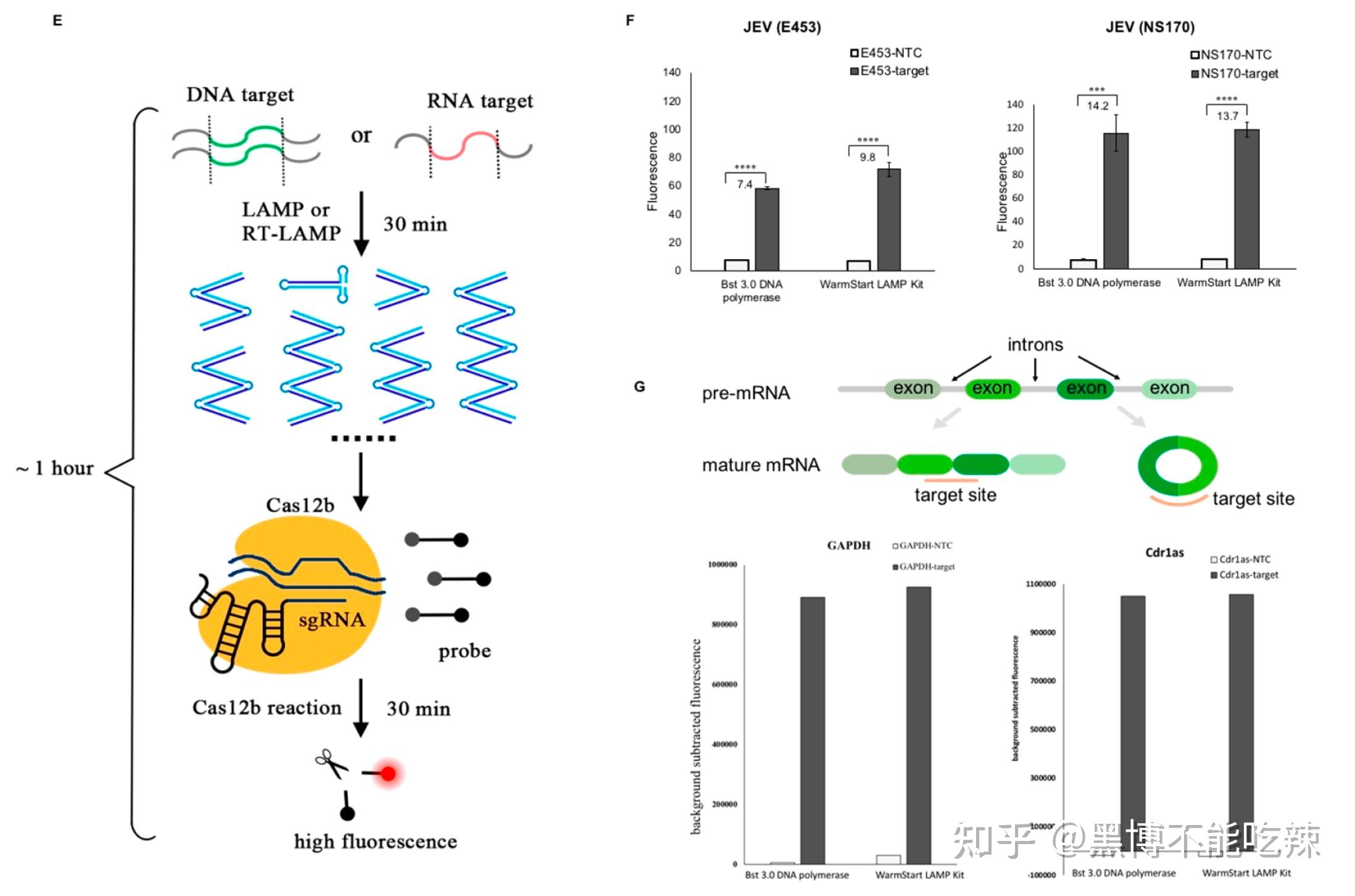 基于CRISPR-Cas12/13的分子检测技术 - 知乎