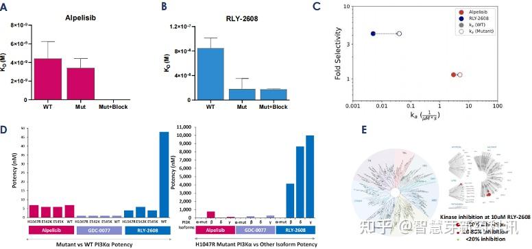 浅谈新一代PI3Kα抑制剂RLY-2608 - 知乎