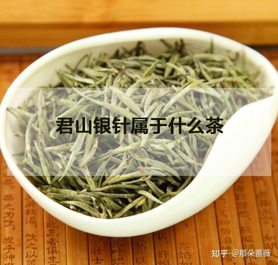 君山银针属于什么茶 知乎 9278