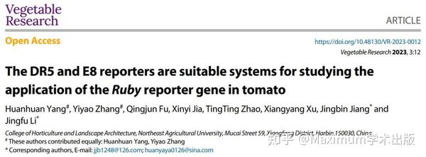 东北农业大学李景富团队取得Ruby报告基因在番茄中应用的新进展 - 知乎