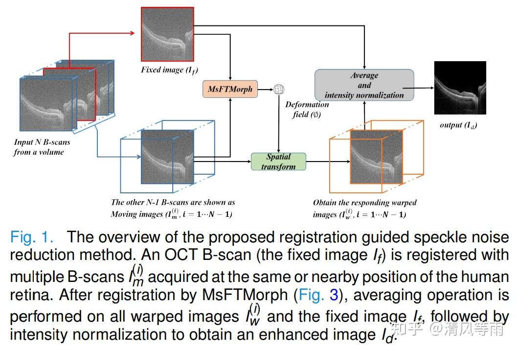 IEEE Transactions on Medical Imaging(TMI)论文推荐：2024年01月(2) - 知乎