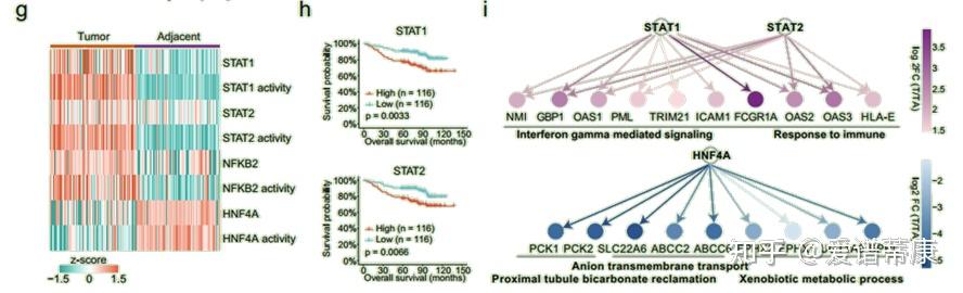 基于蛋白质谱的转录因子筛选图谱 - 知乎