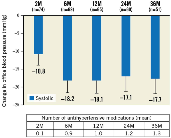 RDN治疗高血压，何去何从？郭艺芳教授：未来可期 - 知乎