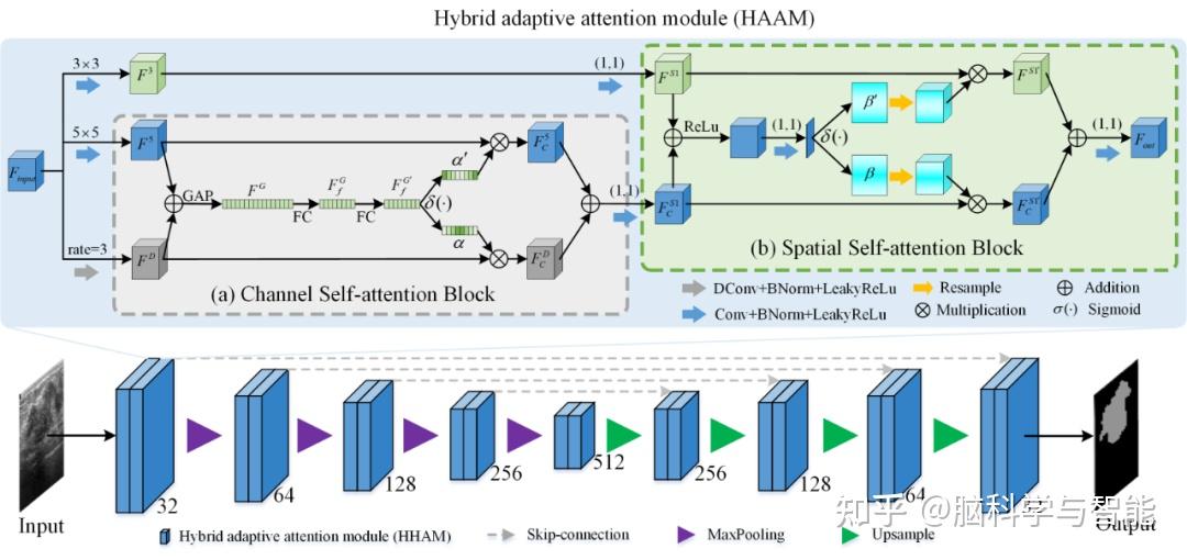 基于自适应注意力 U-net 的乳腺超声图像分割 - 知乎