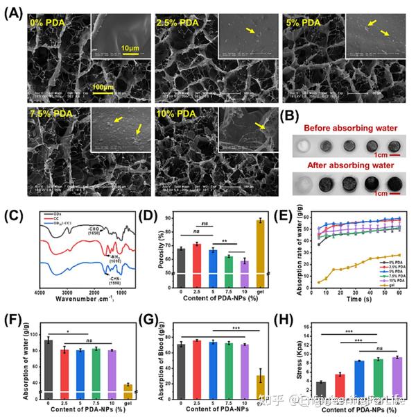 《Carbohyd. Polym.》：多糖基海绵伤口敷料，快速止血&有效杀菌 - 知乎