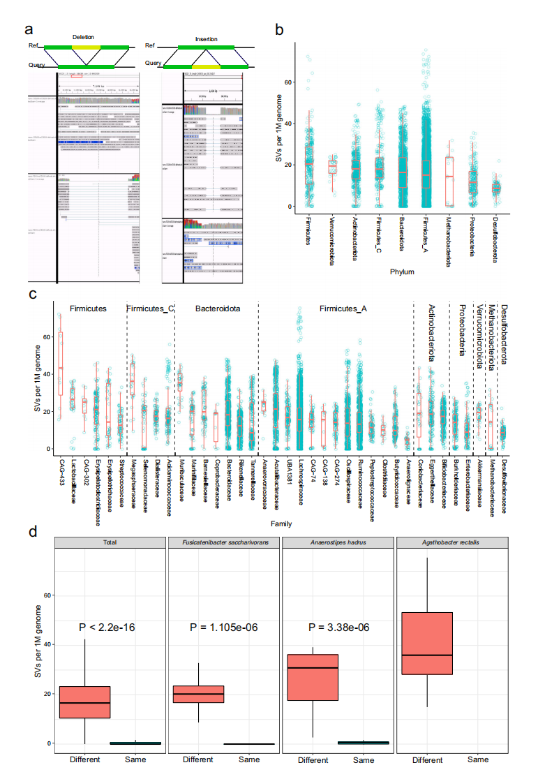 Nature子刊|“二代+三代”宏基因组学揭示肠道微生物群的个性化结构变异 - 知乎